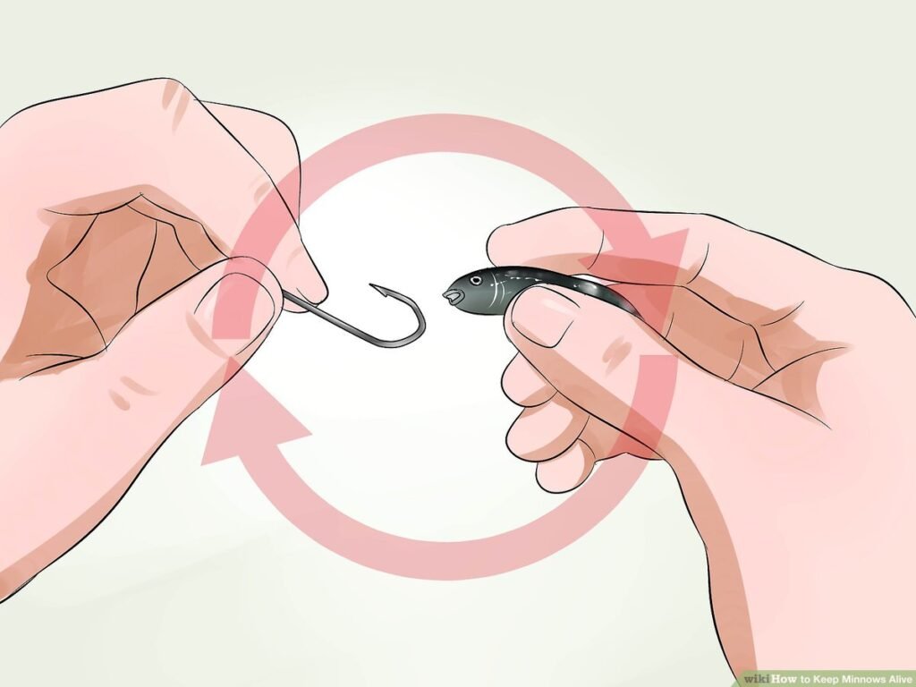 How to Fish a Minnow - Angling Journal