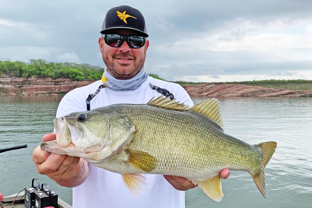 How Long Does a Bass Fish Live - Angling Journal