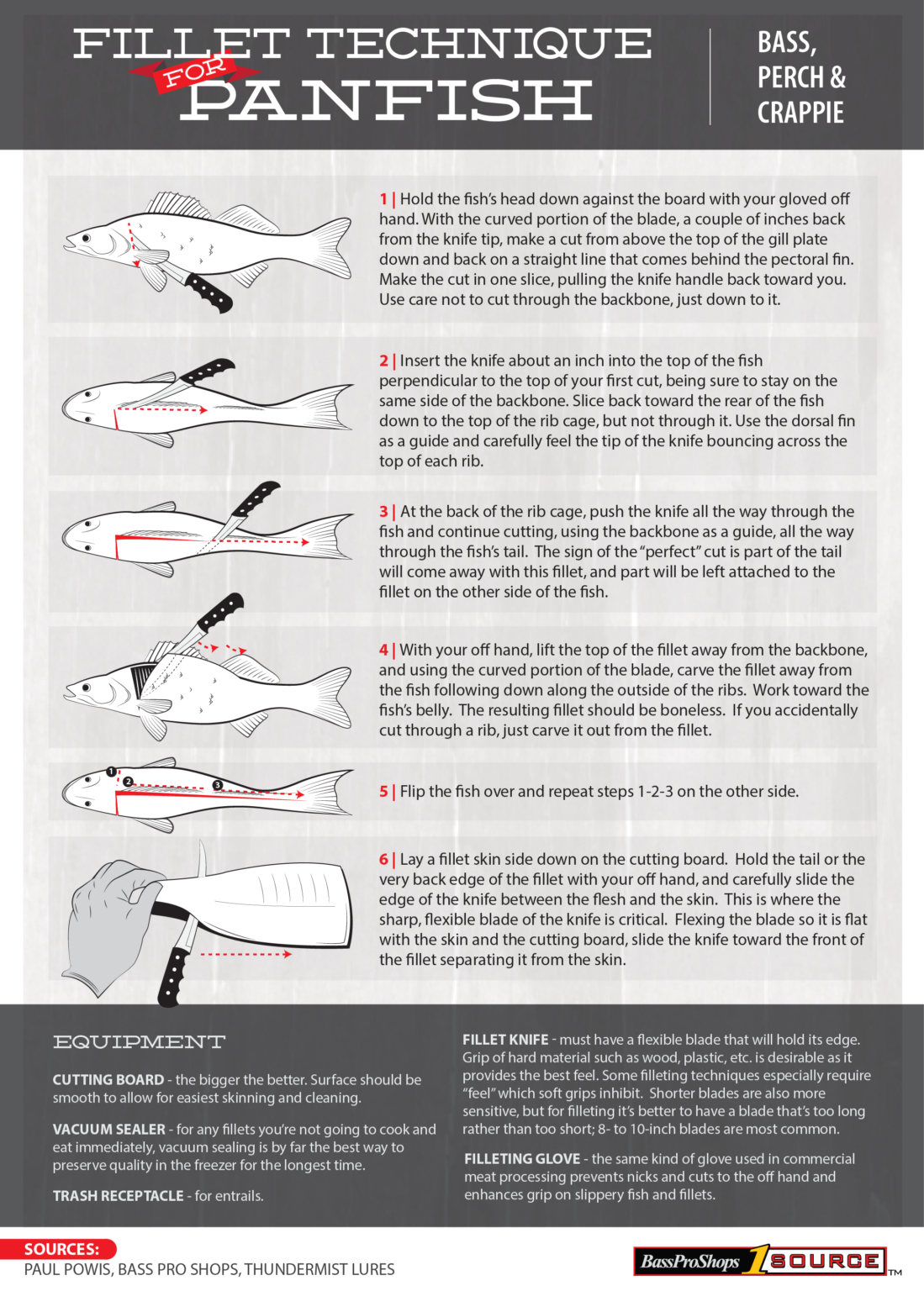 How to Fillet a Bass Fish - Angling Journal
