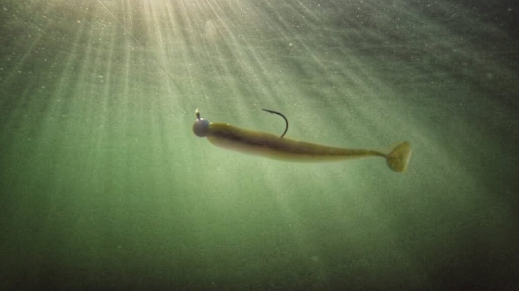 How to Fish a Swim Bait - Angling Journal