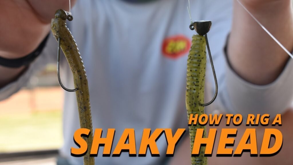 How to Rig a Shaky Head - Angling Journal