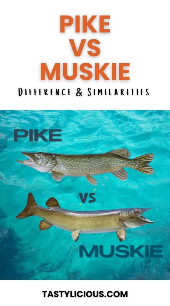 What Does Muskie Taste Like? - Angling Journal