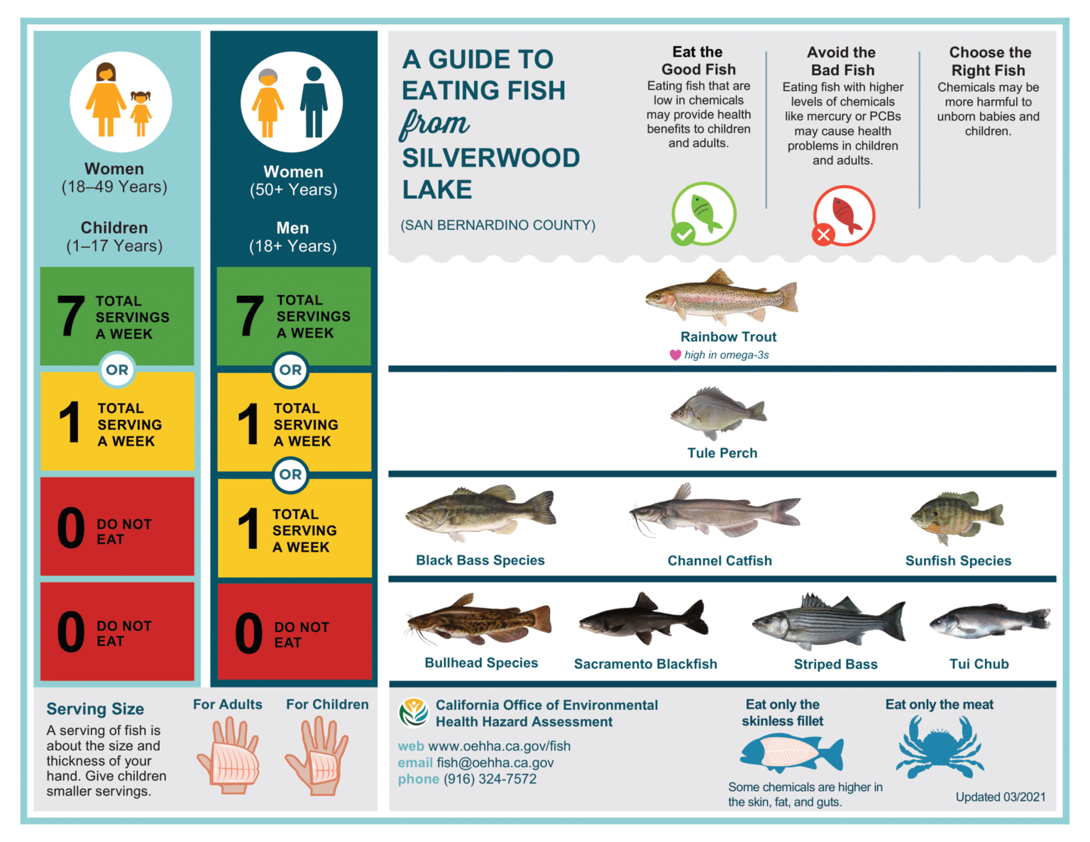 What Size Bass Can You Keep - Angling Journal