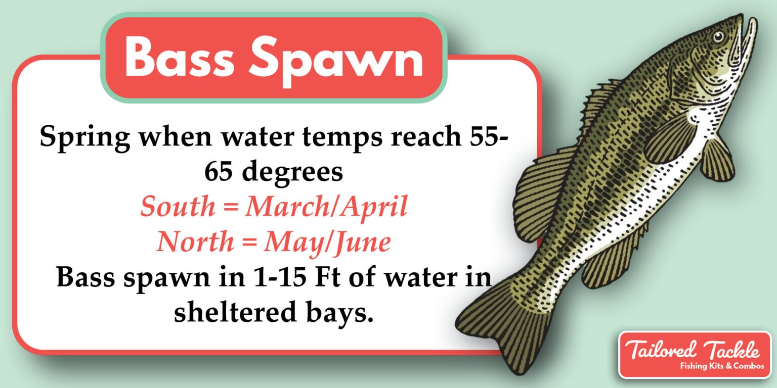 What Temperature Do Bass Spawn - Angling Journal