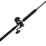 Best Rod And Reel for Tuna Fishing: Top Picks for Serious Anglers ...