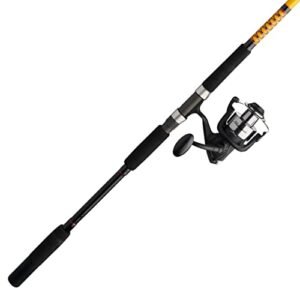 Best Salmon Fishing Rod And Reel Combo: Top Picks for Every Angler ...